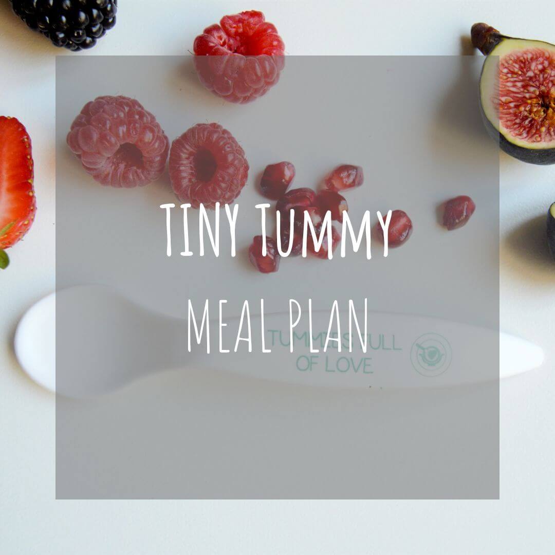 Meal Plans - Tummies Full Of Love